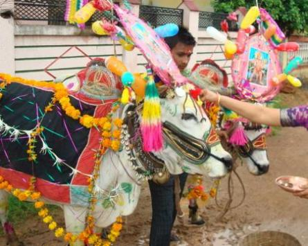 Telugu Kanuma Festival | Hindu Festivals History of Kanuma | Kanuma ...