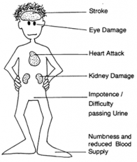 Health Centre -Health Tips, Articles - TeluguOne.com
